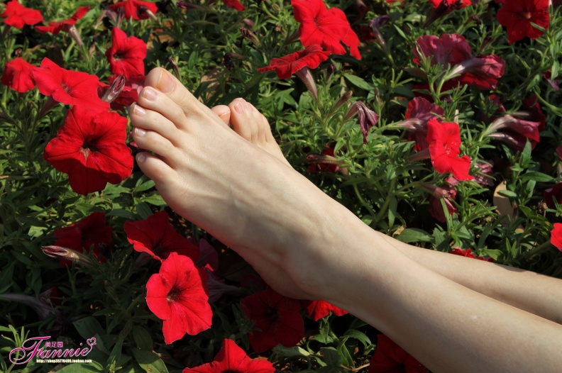 DSC 0059 | （福妹）主题相册